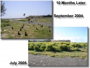 Transmitter_Field - Midway Island